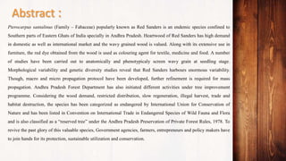 pterocarpus santalinus (RED SANDERS) THE ENDANGERED TREE | PPTX