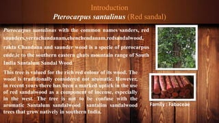 pterocarpus santalinus (RED SANDERS) THE ENDANGERED TREE | PPTX