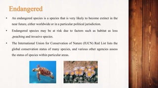 pterocarpus santalinus (RED SANDERS) THE ENDANGERED TREE | PPTX