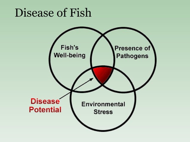 fish-borne zoonotic diseases | PPT
