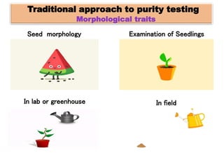 Advancements in seed testing technologies | PPTX