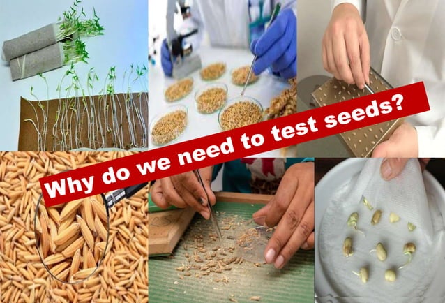 Advancements in seed testing technologies | PPTX