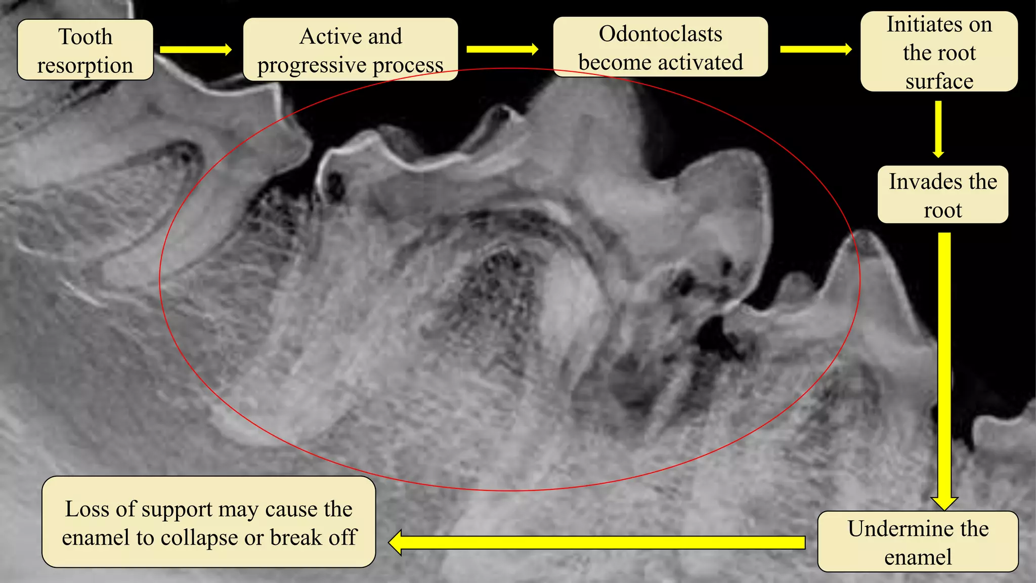 Credit seminar ph d-i | PPTX