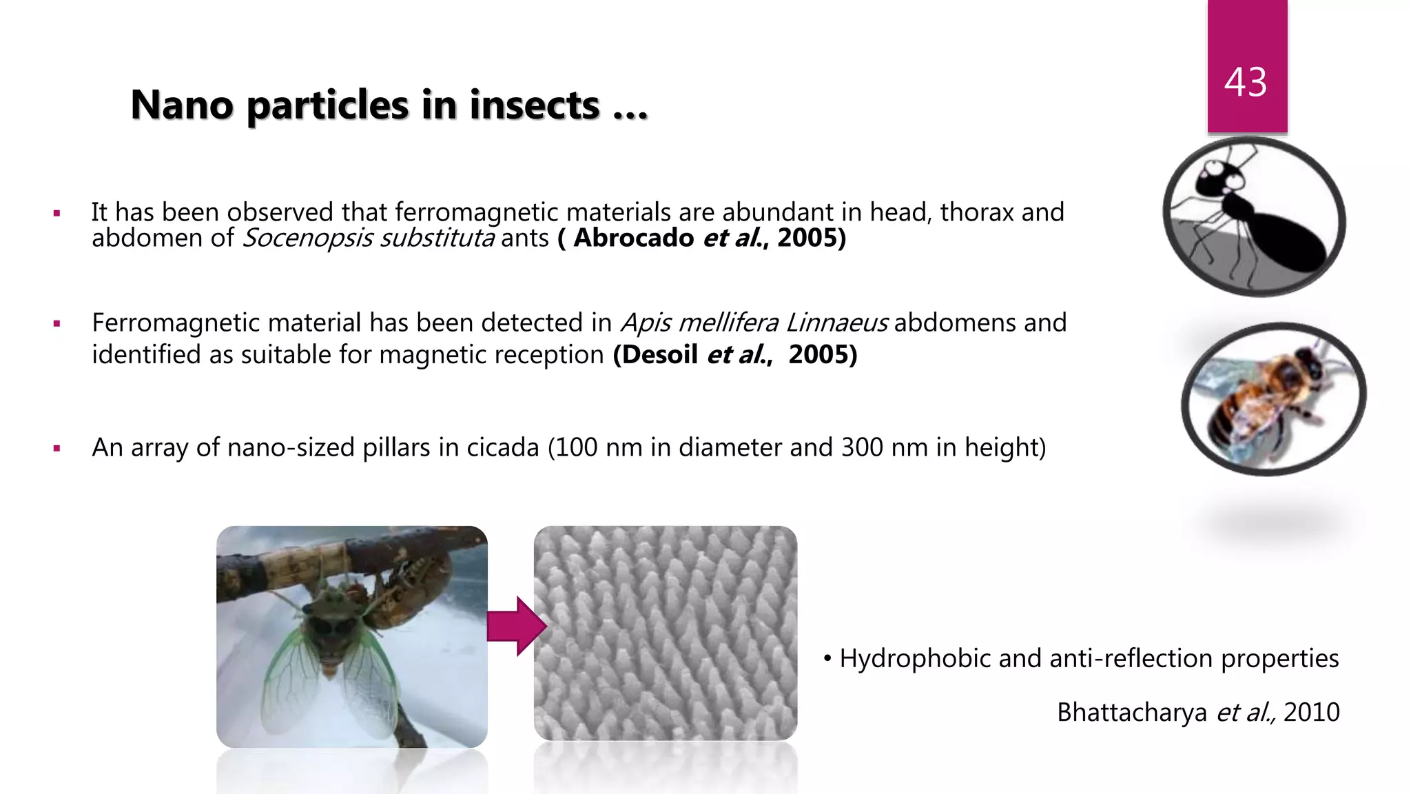 Application of nanotechnology in reference to pest management | PPTX