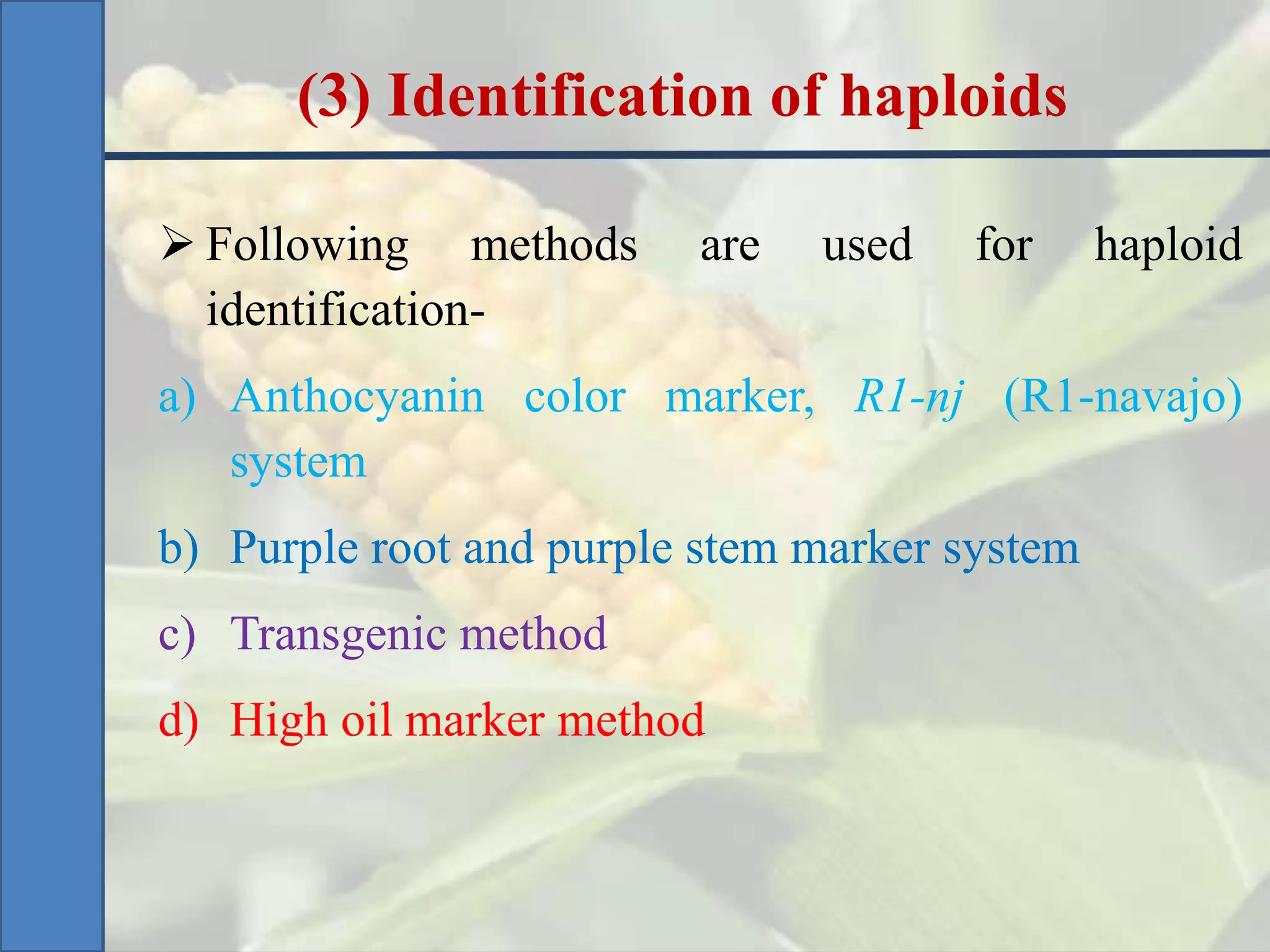 Doubled Haploid Technology for Line Development in Maize | PPTX