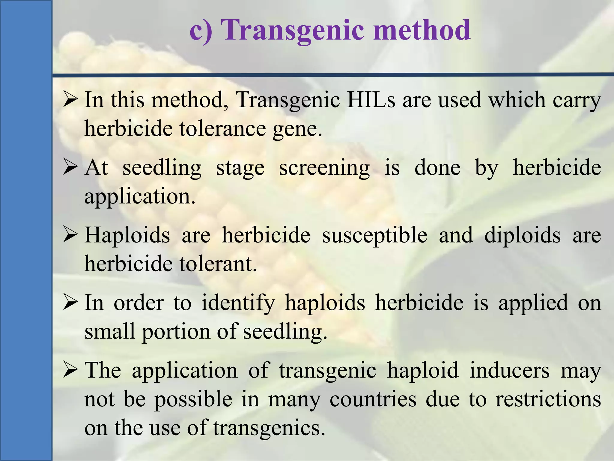 Doubled Haploid Technology for Line Development in Maize | PPTX