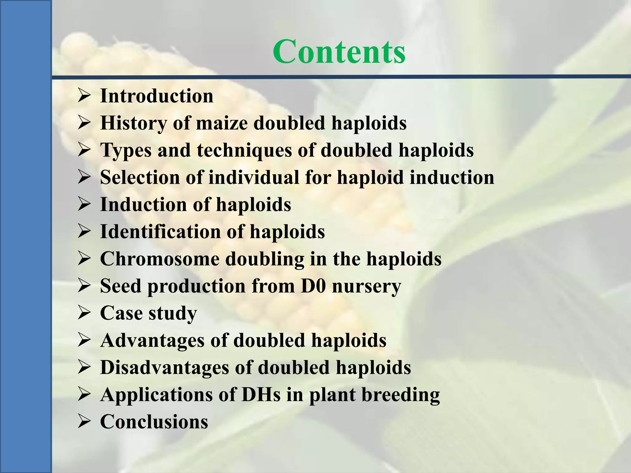 Doubled Haploid Technology for Line Development in Maize | PPTX