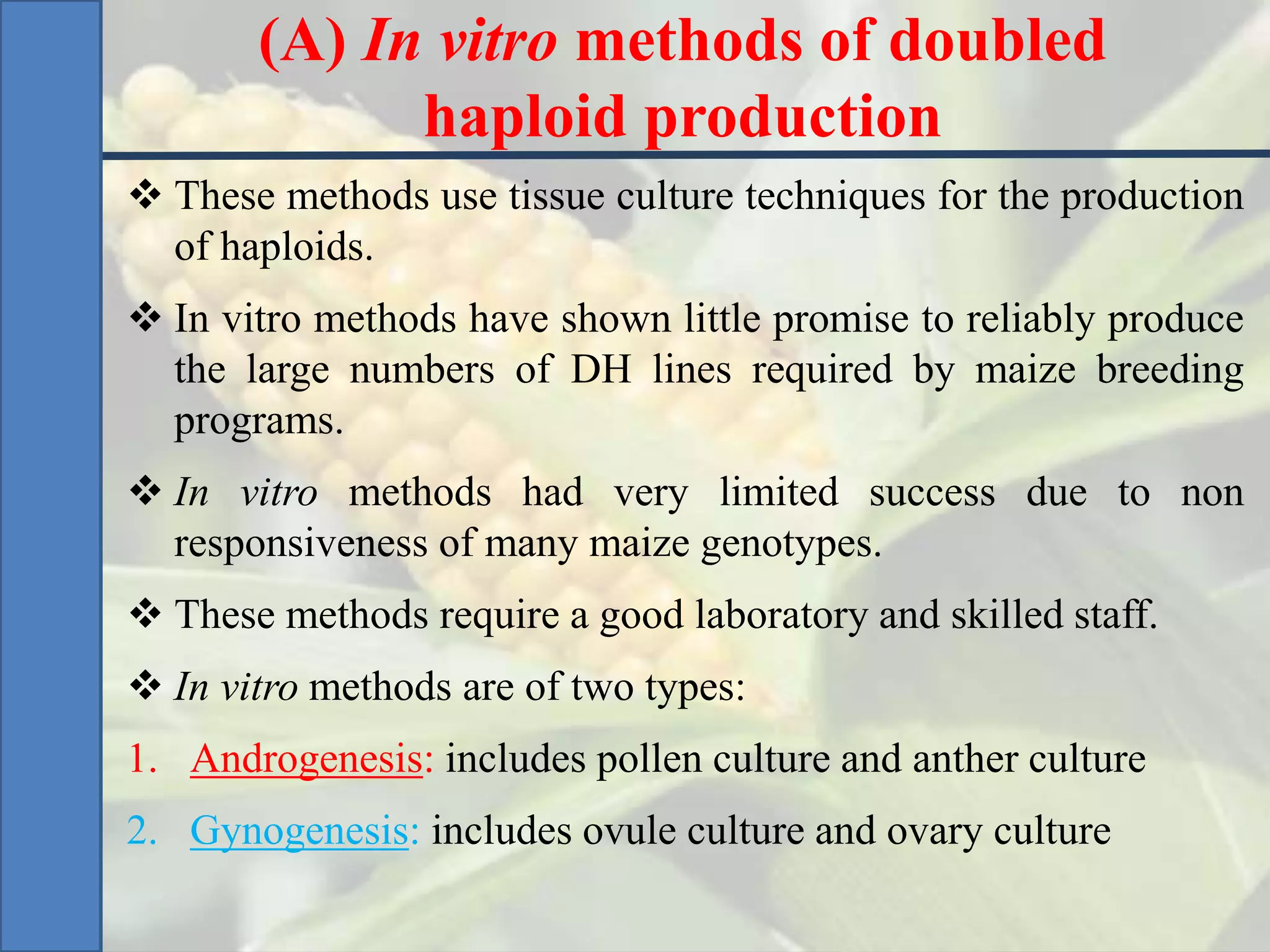 Doubled Haploid Technology for Line Development in Maize | PPTX