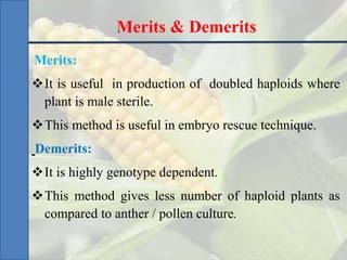 Doubled Haploid Technology for Line Development in Maize | PPTX