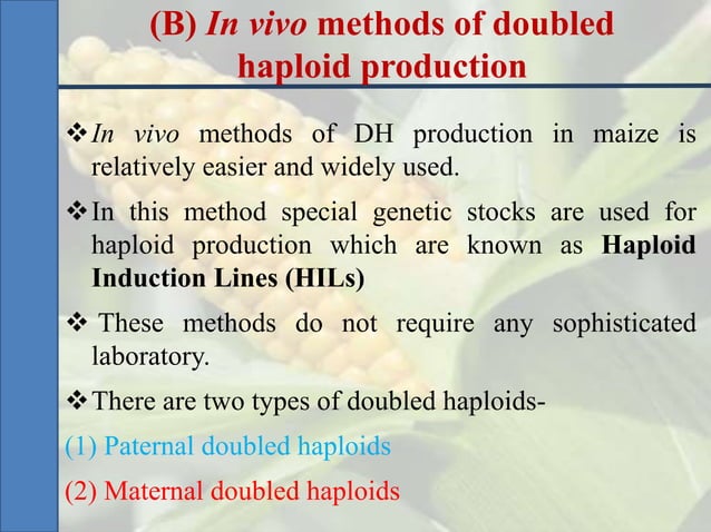 Doubled Haploid Technology for Line Development in Maize | PPTX ...