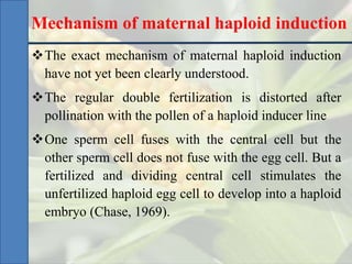 Doubled Haploid Technology for Line Development in Maize | PPTX