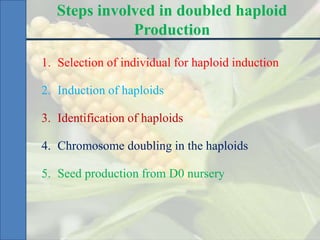 Doubled Haploid Technology for Line Development in Maize | PPTX