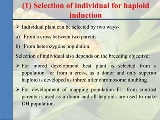 Doubled Haploid Technology for Line Development in Maize | PPTX