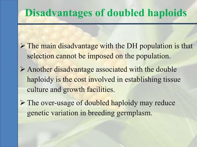 Doubled Haploid Technology for Line Development in Maize | PPTX ...