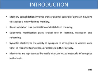 Get your DNA epigeneticaly reoriented for better learning experience | PPT