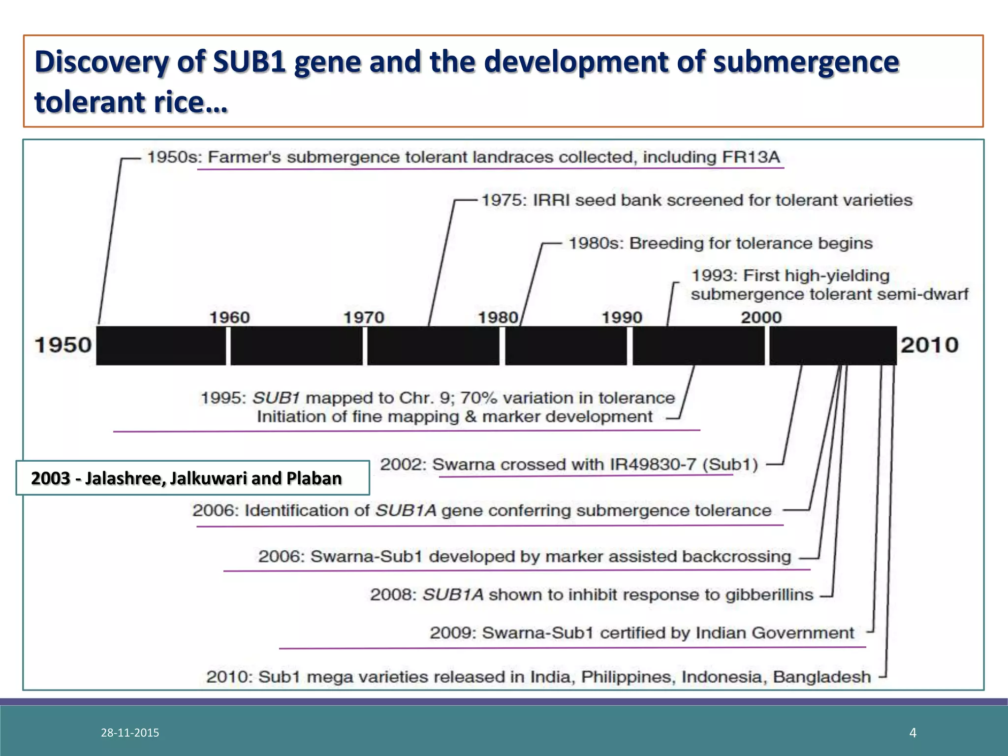 Genetics of Submergence Tolerance in Rice | PPTX | Genetics | Science