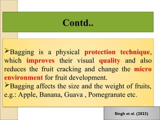 Pre-harvest fruit bagging: A USEFUL APPROACH FOR PLANT PROTECTION AND ...