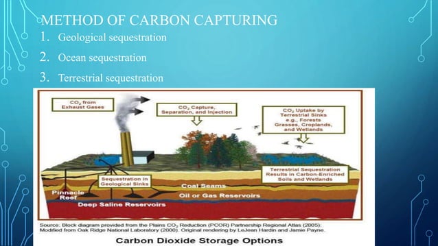 Carbon Farming, A Solution to Climate Change.pptx | Agriculture ...