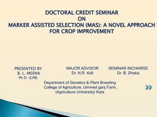 CREDIT SEMINAR BY B.L.MEENA.pptx