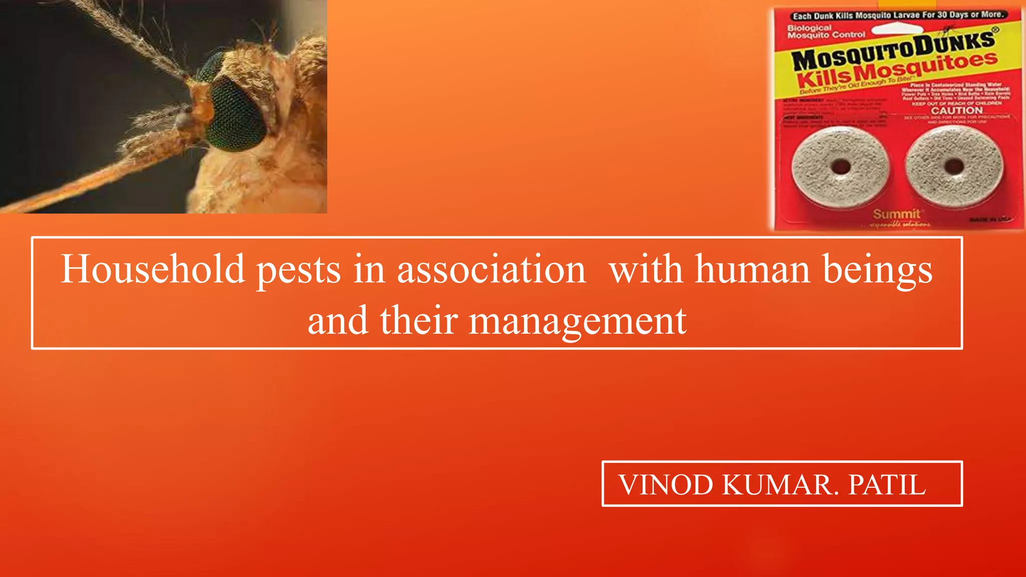 Household pests in association with human beings and their management ...