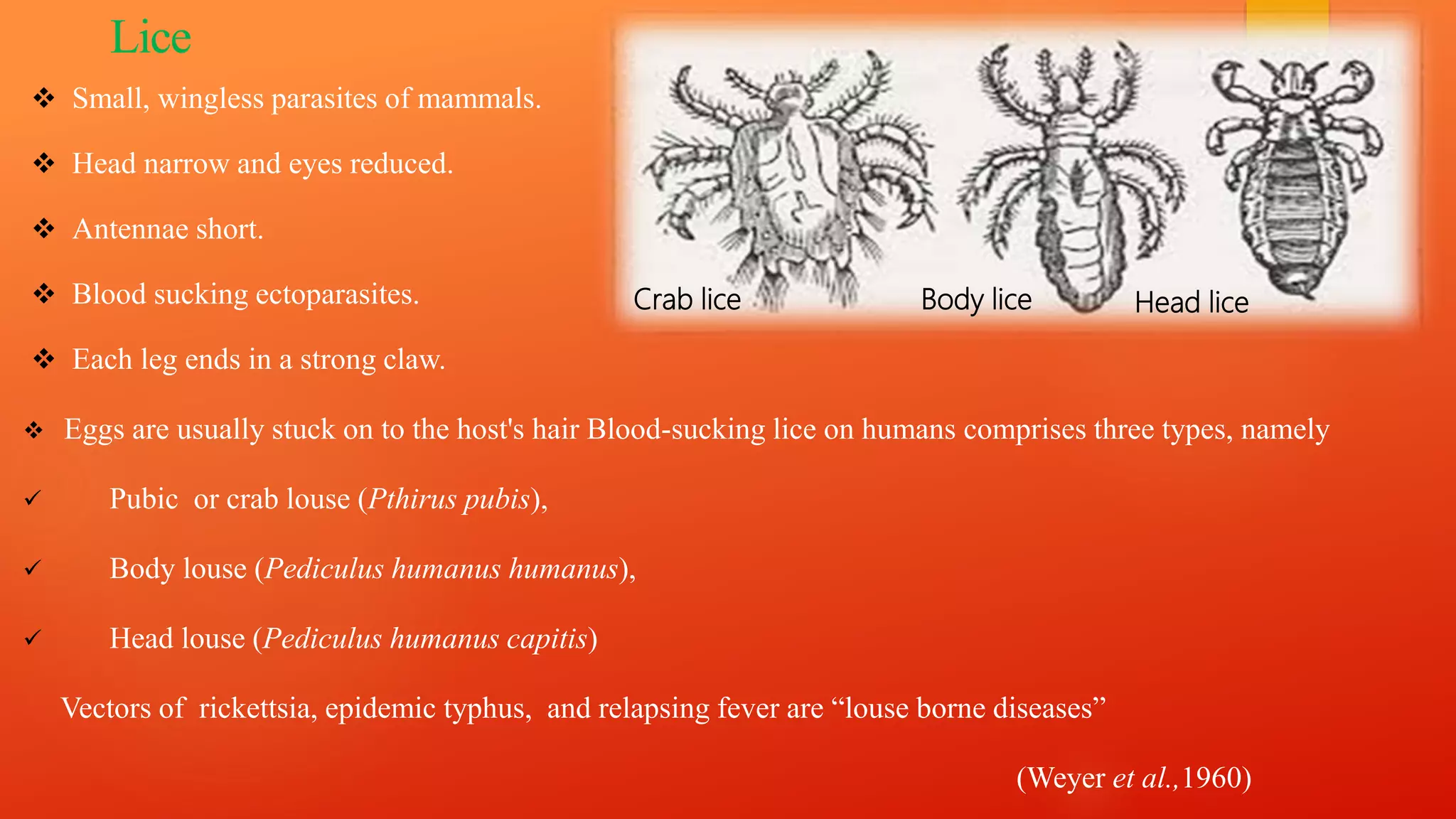 Household pests in association with human beings and their management ...
