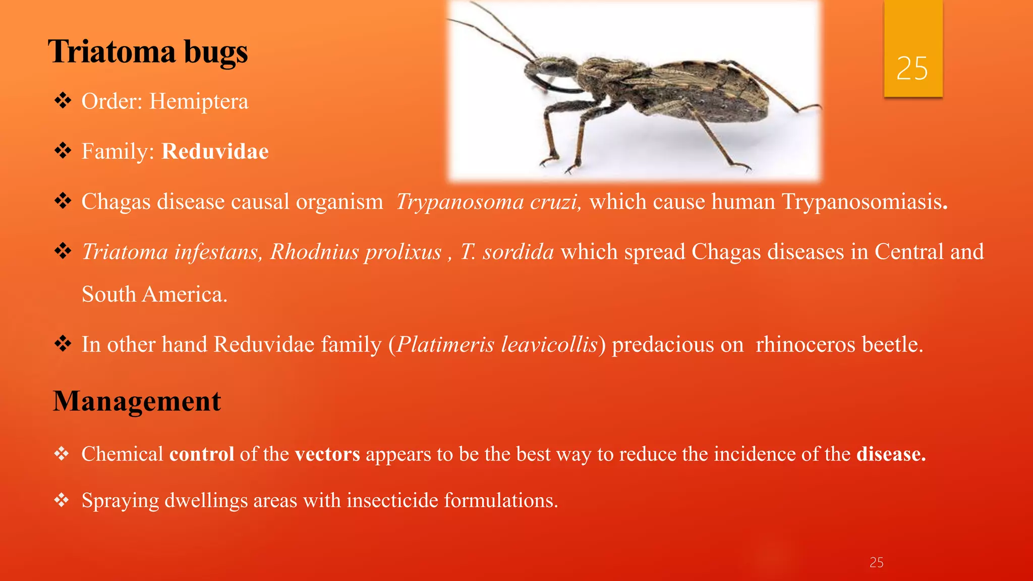 Household pests in association with human beings and their management ...