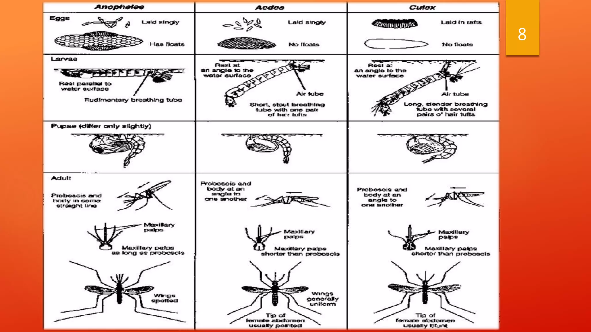 Household pests in association with human beings and their management ...