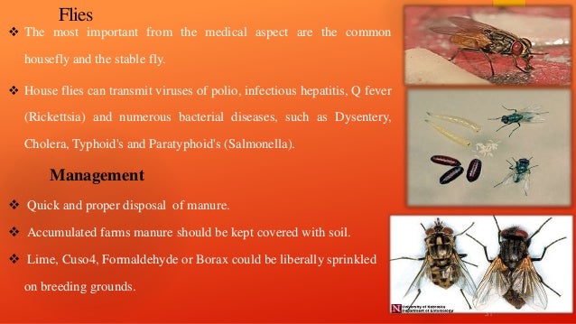 Household pests in association with human beings and their management