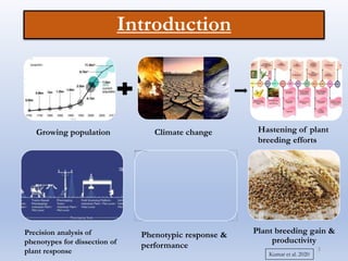 Phenomics assisted breeding in crop improvement | PPTX | Agriculture ...