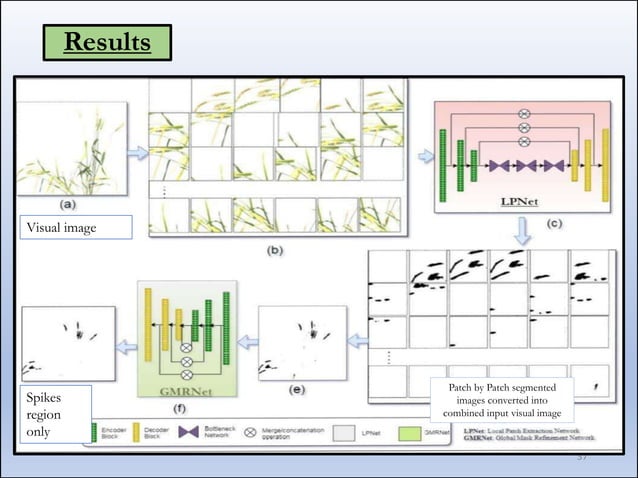 Phenomics assisted breeding in crop improvement | PPTX | Agriculture | Industries