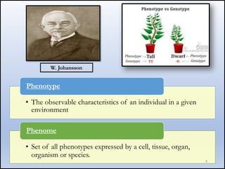 Phenomics assisted breeding in crop improvement | PPTX | Agriculture ...