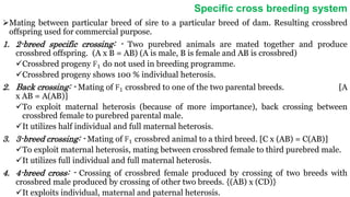 Mating System and Livestock Breeding Policy | PPTX