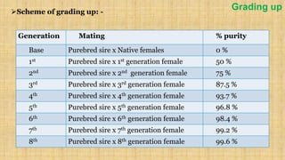 Mating System and Livestock Breeding Policy | PPTX