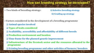 Mating System and Livestock Breeding Policy | PPTX