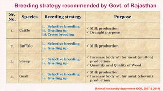 Mating System and Livestock Breeding Policy | PPTX