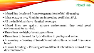 Mating System and Livestock Breeding Policy | PPTX