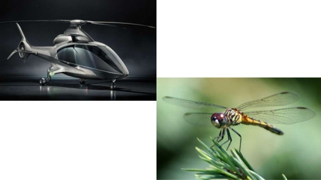 Bio-Inspiration Engineering from Insects; for Helicopters | PPTX
