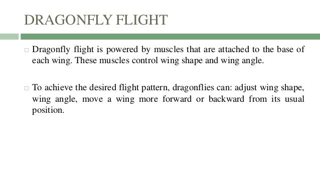 Bio-Inspiration Engineering from Insects; for Helicopters | PPTX