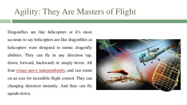 Bio-Inspiration Engineering from Insects; for Helicopters | PPTX