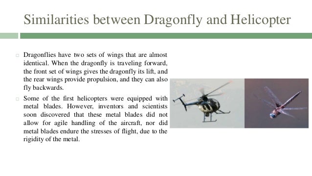 Bio-Inspiration Engineering from Insects; for Helicopters | PPTX