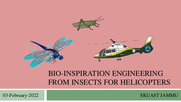 Bio-Inspiration Engineering from Insects; for Helicopters | PPTX
