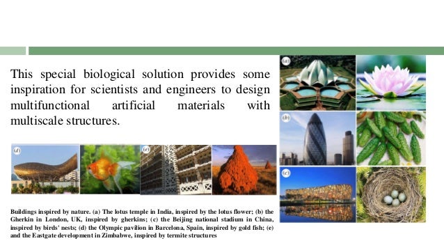 Bio-Inspiration Engineering from Insects; for Helicopters | PPTX