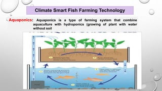 Climate Smart aquaculture (CSA) | PPTX