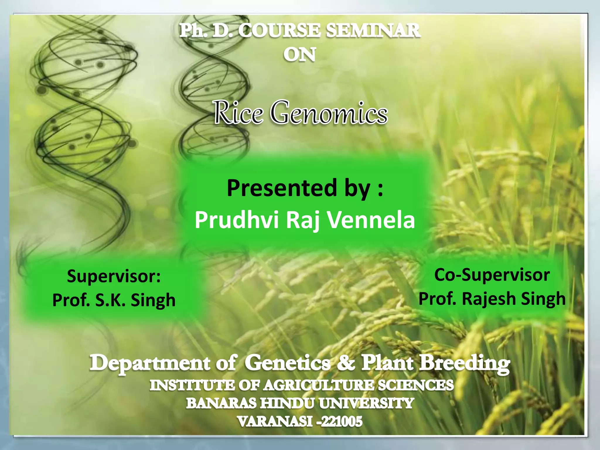 Credit seminar on rice genomics crrected | PPTX