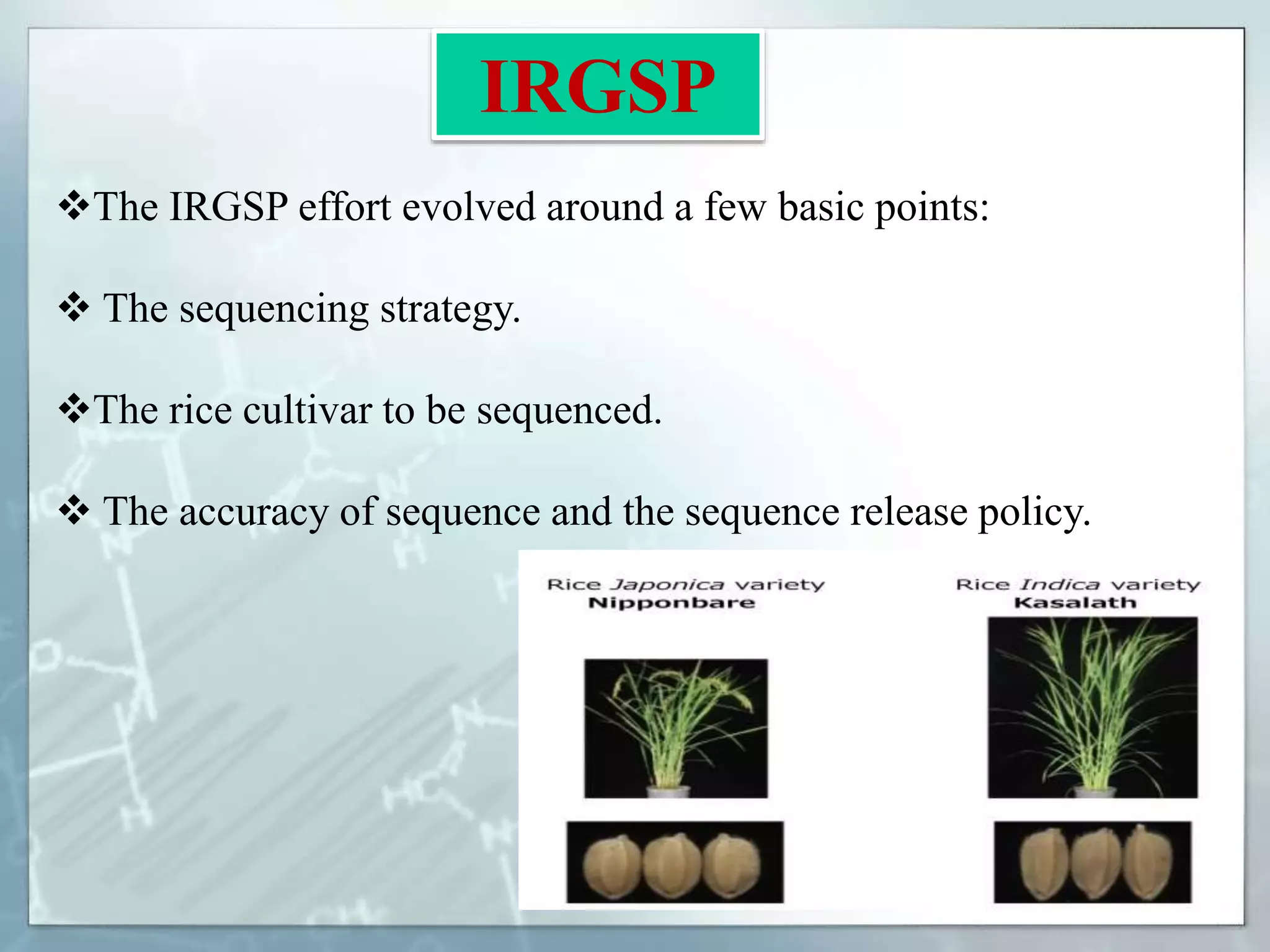 Credit seminar on rice genomics crrected | PPTX
