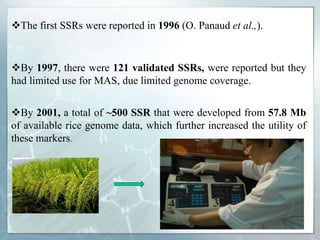Credit seminar on rice genomics crrected | PPTX