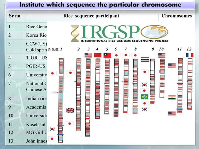 Credit seminar on rice genomics crrected | PPTX