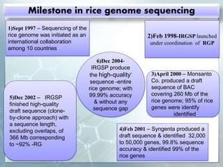 Credit seminar on rice genomics crrected | PPTX
