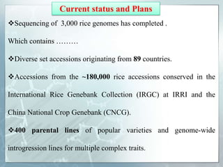 Credit seminar on rice genomics crrected | PPTX