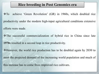 Credit seminar on rice genomics crrected | PPTX